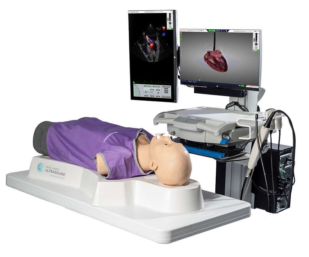 Surgical Science HeartWorks - INNPORT